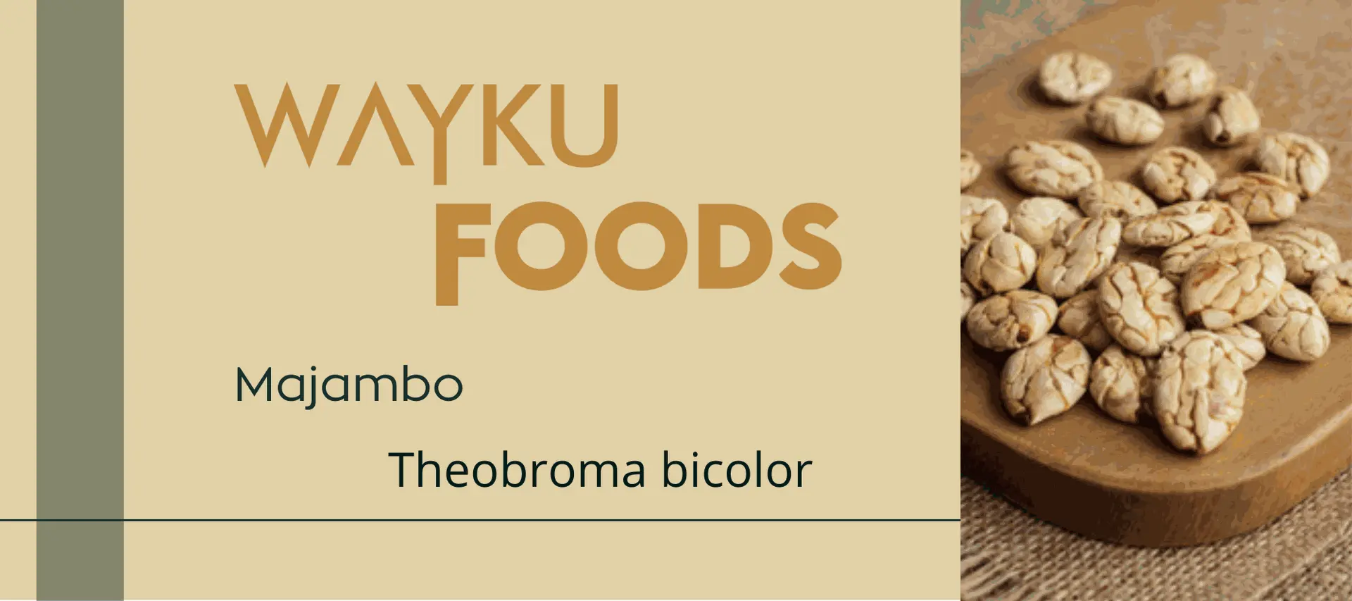 Propiedades del Majambo | Macambo (Thebroma bicolor) | WaykuFoods